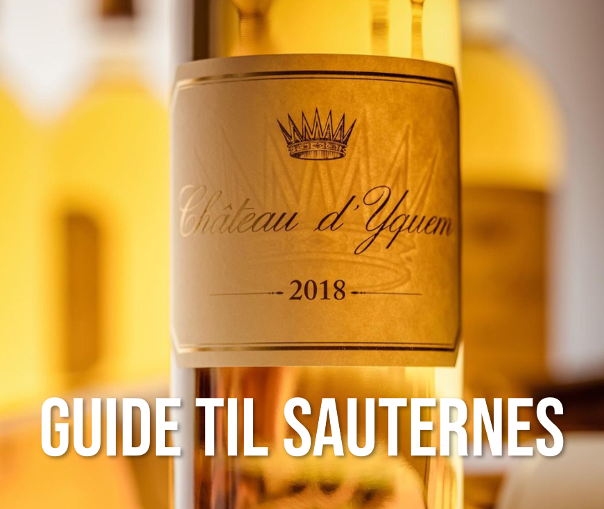 Guide til Sauternes - verdens mest berømte dessertvin